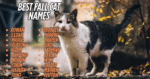 900+ Best Fall Cat Names (Unique And Catchy Ideas) 2025 - Fallnames
